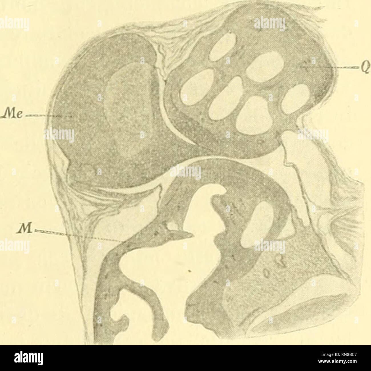 Due indicazioni hi-res stock photography and images - Alamy
