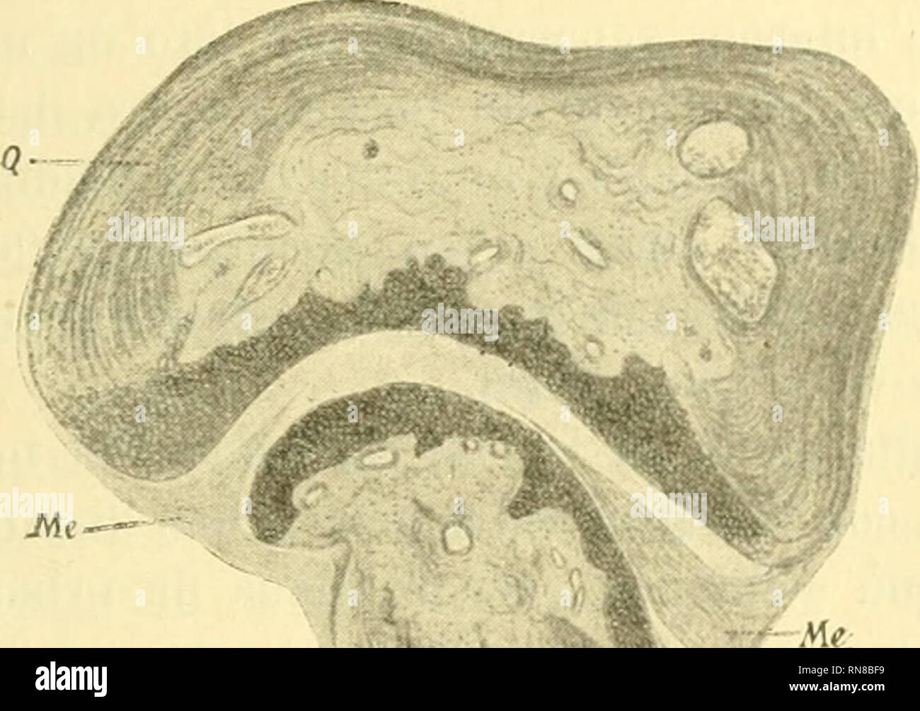 Curvatura concava hi-res stock photography and images - Alamy