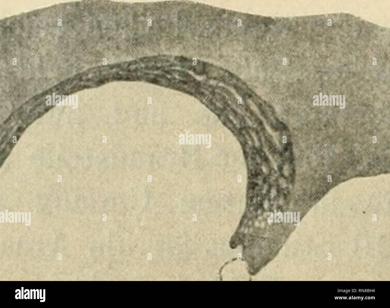 Starkst hi-res stock photography and images - Alamy