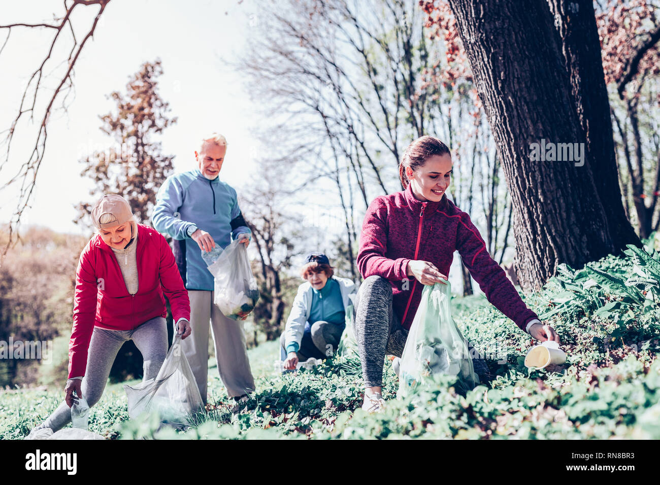Cleaning Forest High Resolution Stock Photography and Images - Alamy