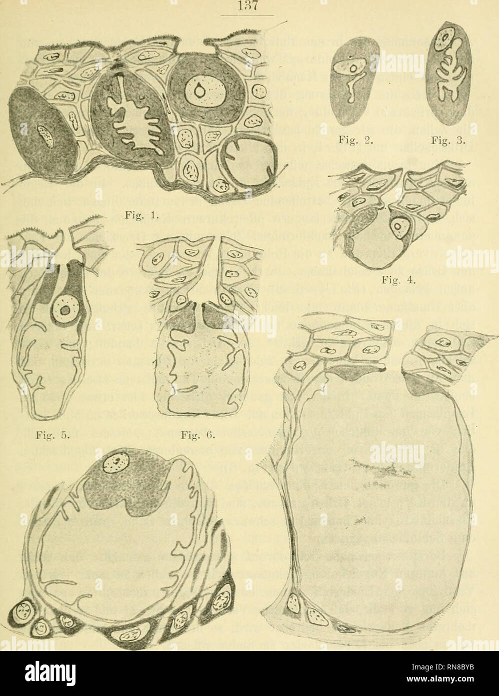 Bar seitlich hi-res stock photography and images - Alamy