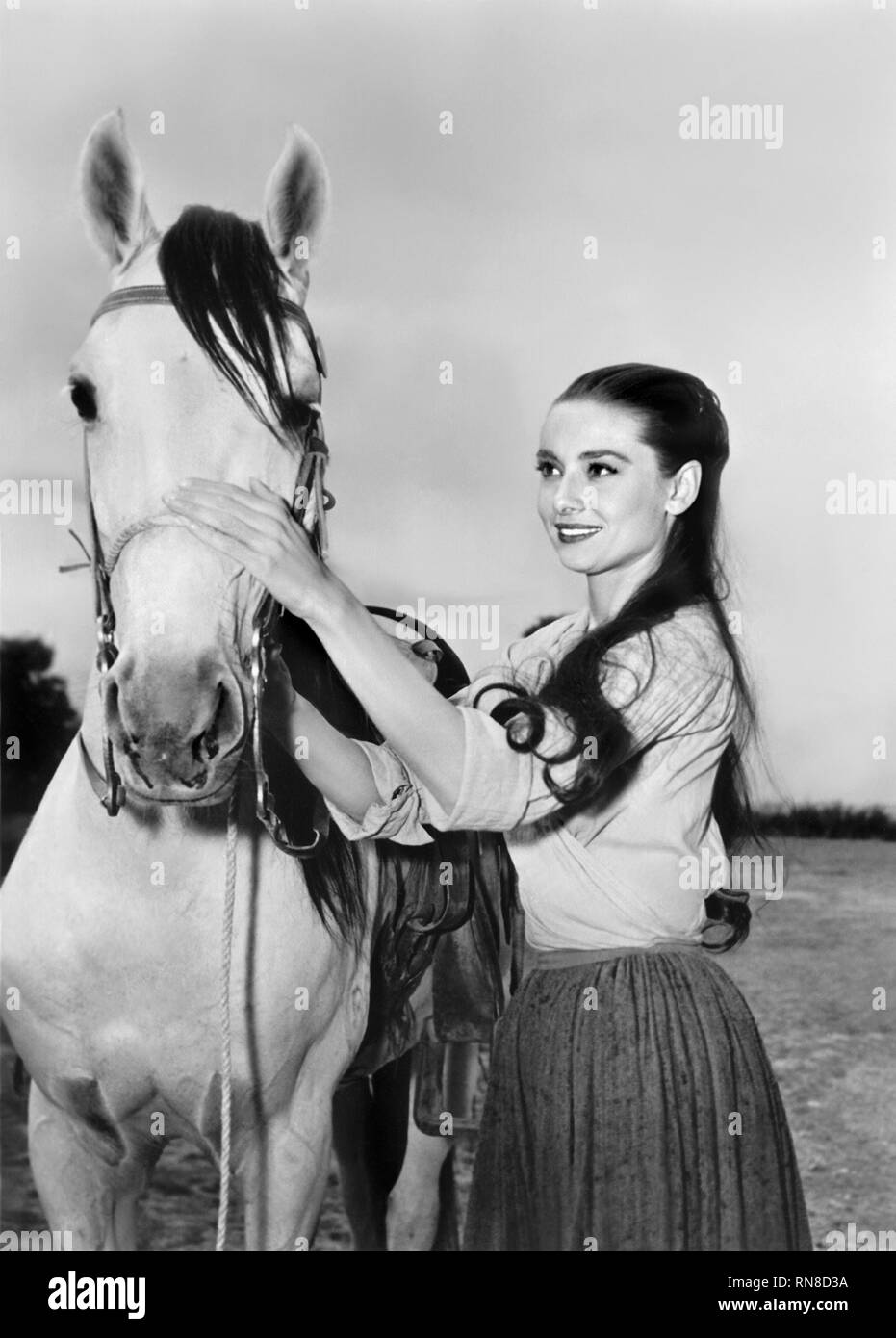 Audrey hepburn horse unforgiven 1960 hi-res stock photography and images - Alamy