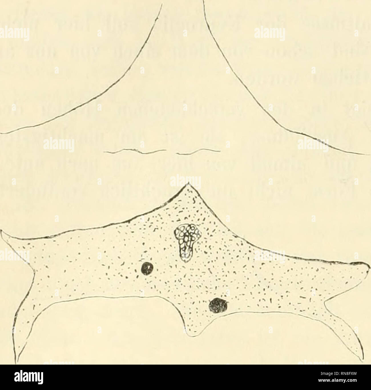 Lendenmark hi-res stock photography and images - Alamy