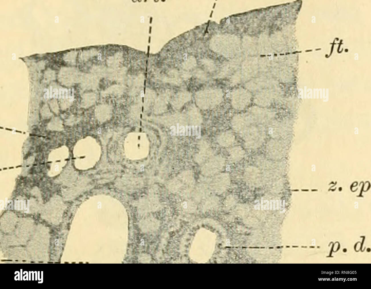 Hsema hi-res stock photography and images - Alamy