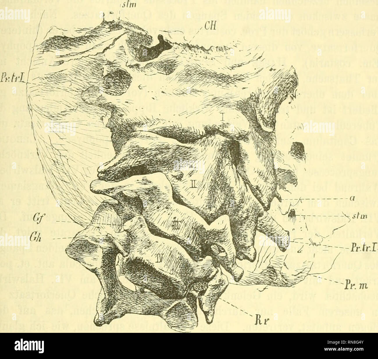 Gh 313 hi-res stock photography and images - Alamy