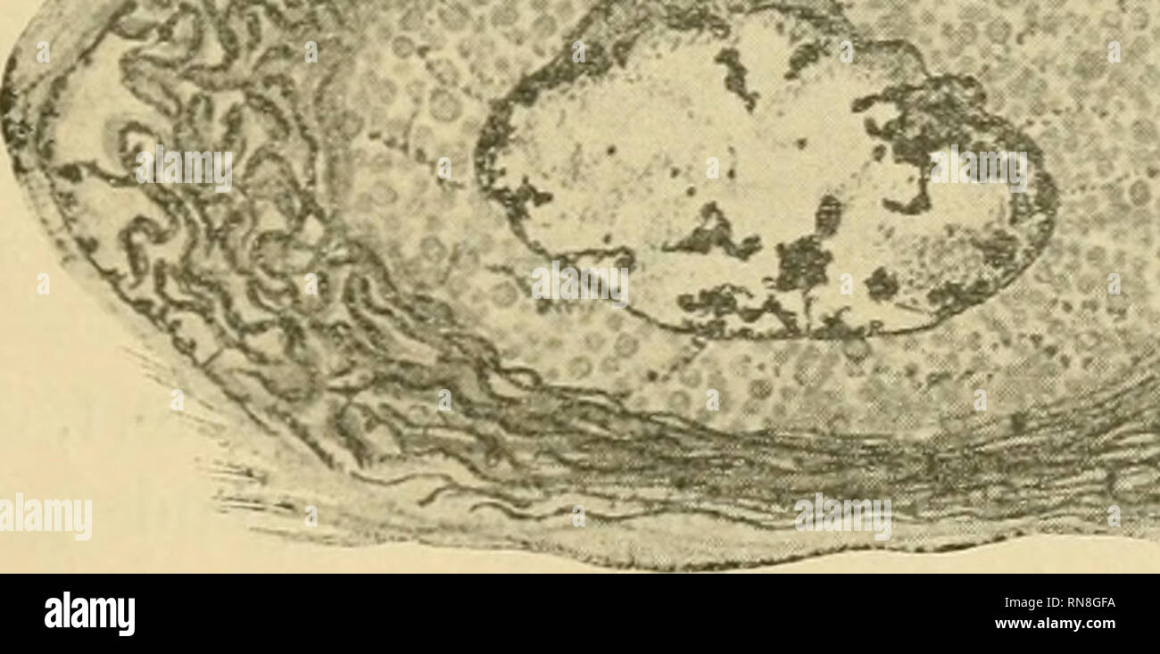 Ektoplasma hi-res stock photography and images - Alamy