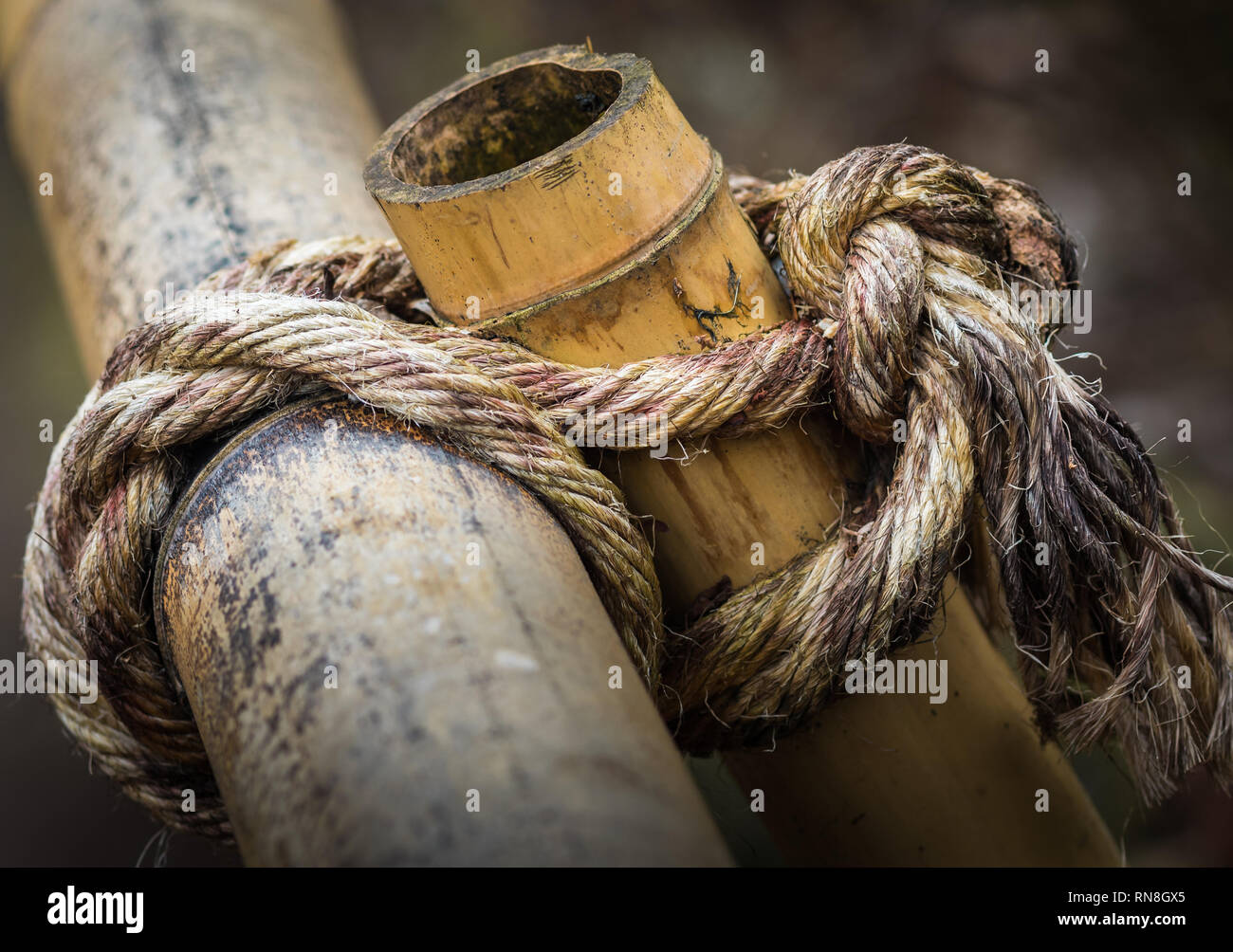 Bamboo rope hi-res stock photography and images - Alamy