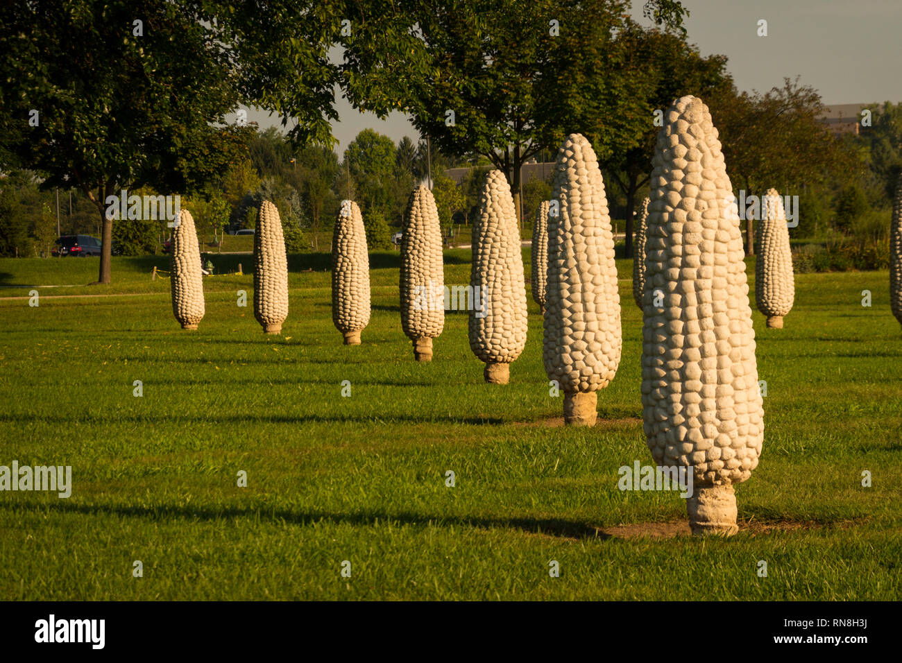 Giant corn hedge sculptures Dublin Ohio Stock Photo - Alamy