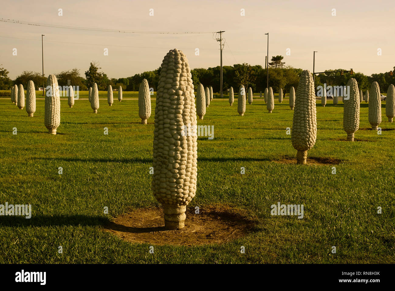 Giant corn hedge sculptures Dublin Ohio Stock Photo - Alamy
