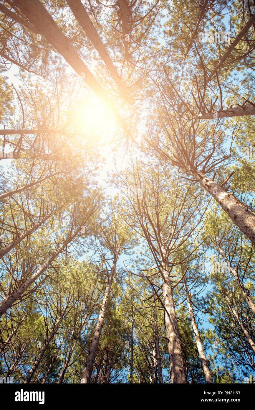Photo from below blue hi-res stock photography and images - Alamy