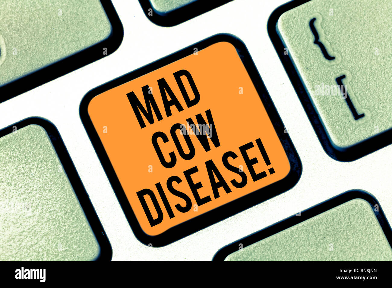 Text sign showing Mad Cow Disease. Conceptual photo Neurodegenerative ... Text sign showing Mad Cow Disease. Conceptual photo Neurodegenerative ...