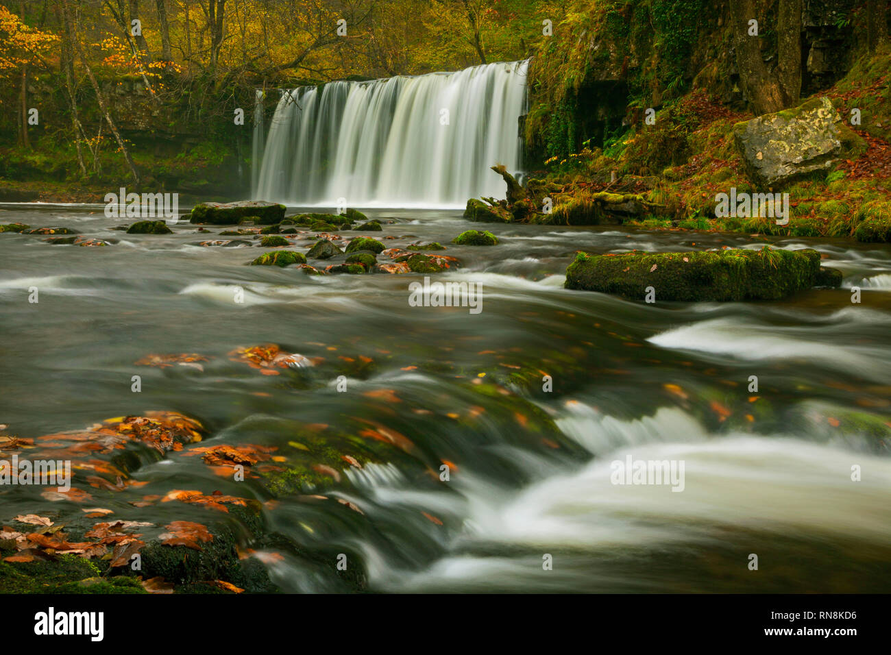 Sqwd Ddwli Waterfall, Brecon Beacons, Wales, UK Stock Photo - Alamy