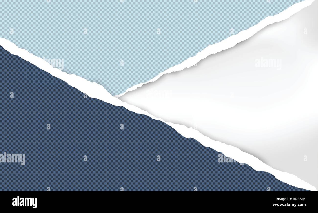 Torn squared blue paper in corners are on white background with space ...