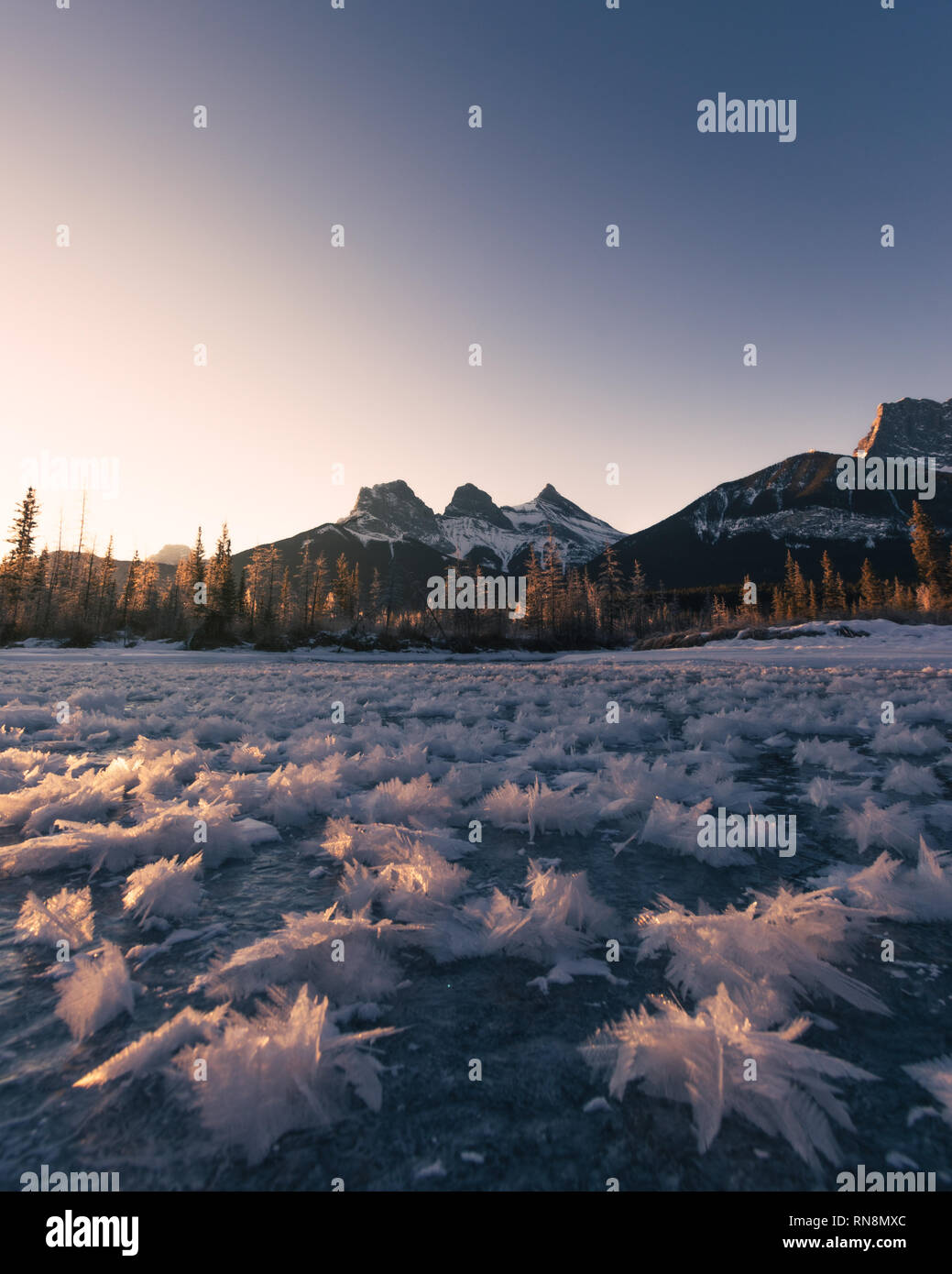 Mountain peaks bow river canmore hi-res stock photography and images ...