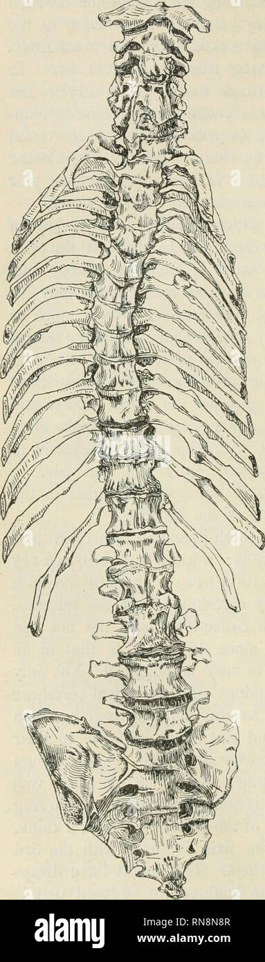 Costal facet hi-res stock photography and images - Alamy