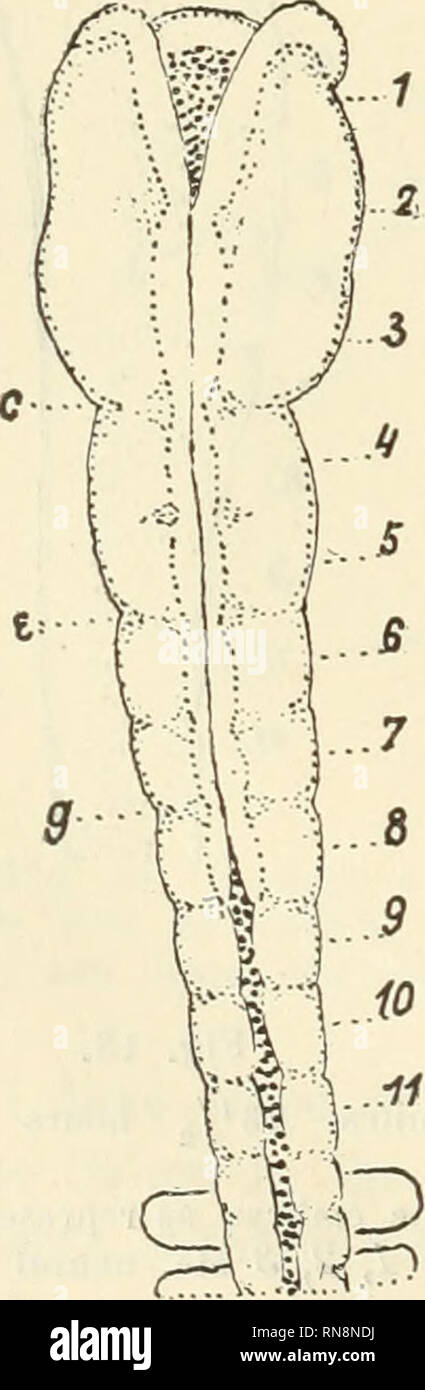 Transverse grooves hi-res stock photography and images - Alamy