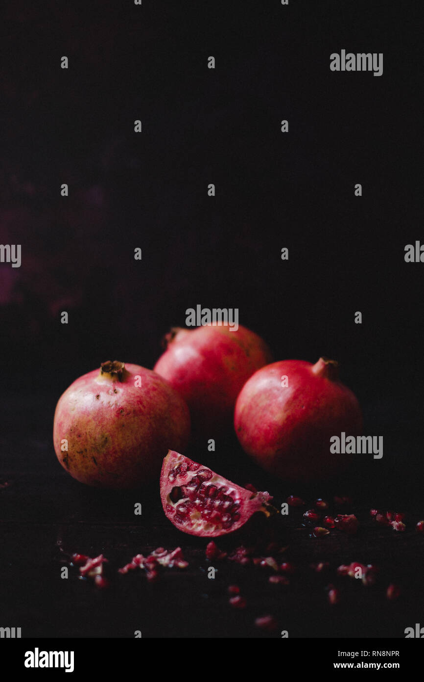 Dutch master photography hi-res stock photography and images - Alamy