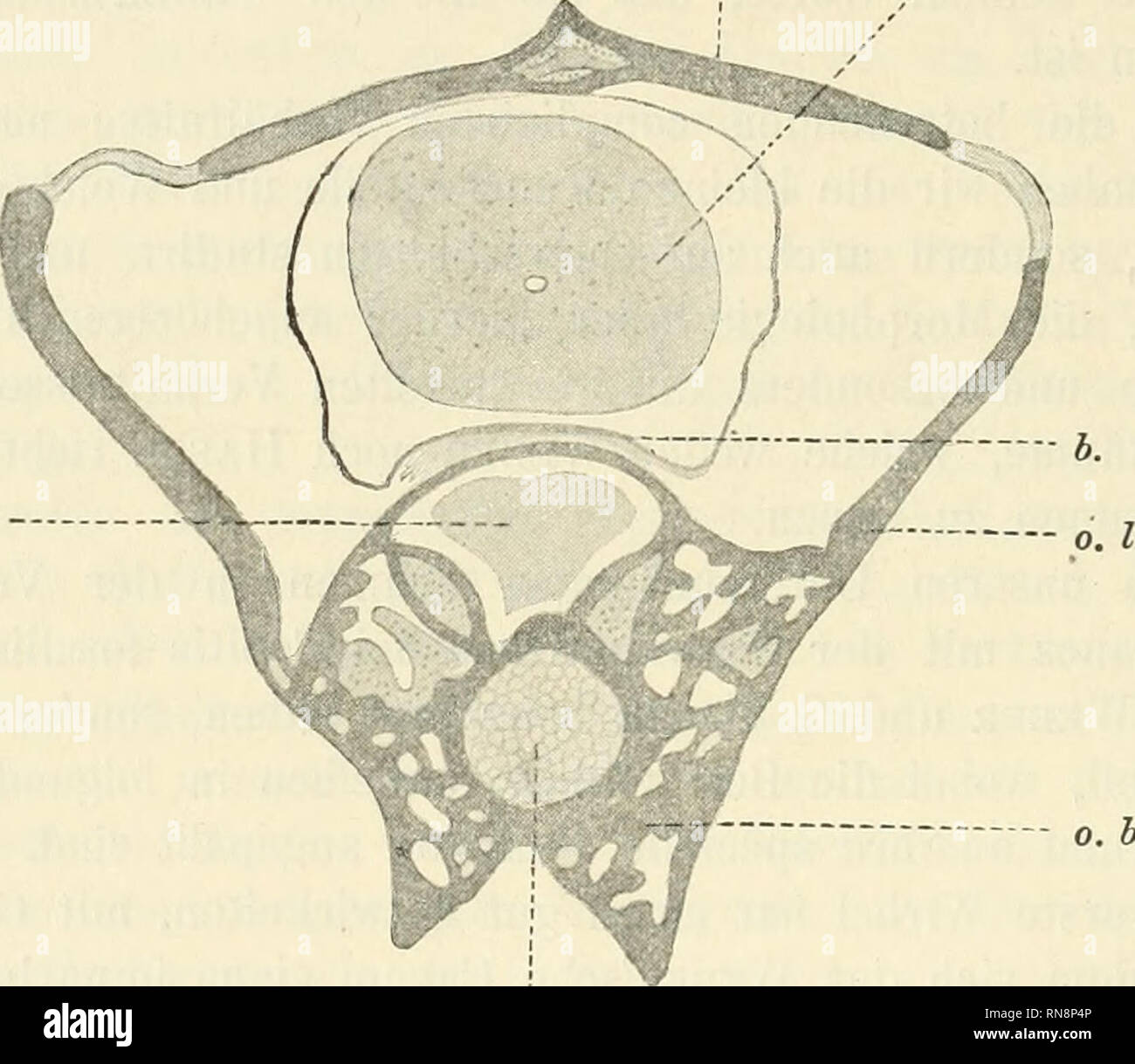 Claustra High Resolution Stock Photography and Images - Alamy