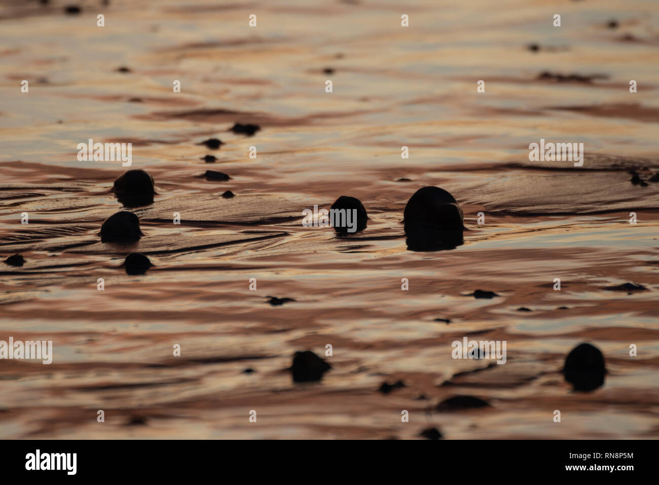 Pebbles beach sunset hi-res stock photography and images - Alamy