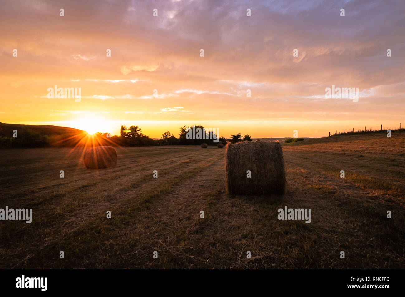 Hay bales in the fields at sunset with star burst and lens flare Stock ...