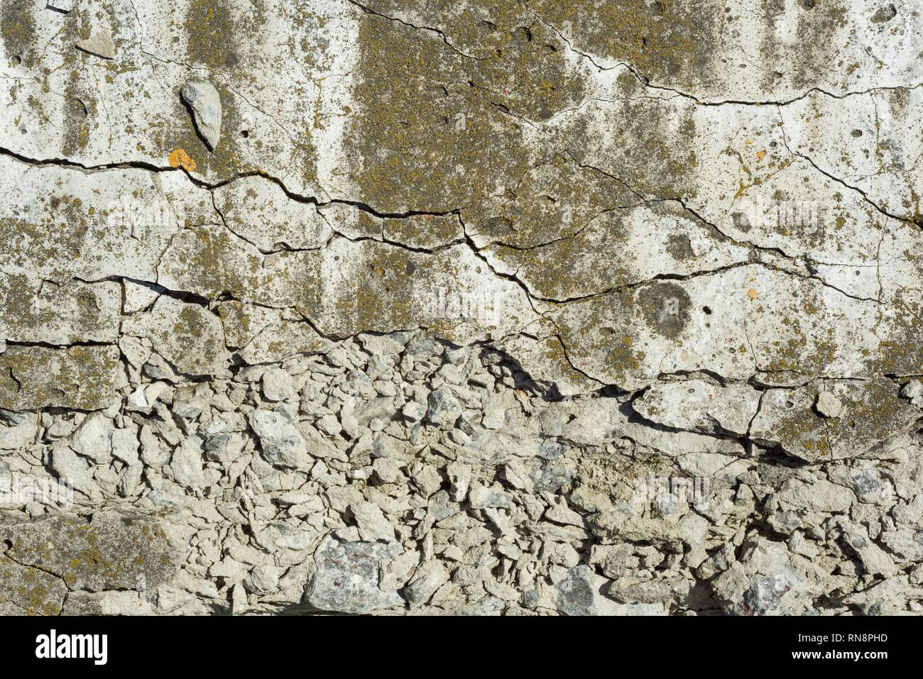 Texture of concrete, cement old moss covered background Stock Photo - Alamy