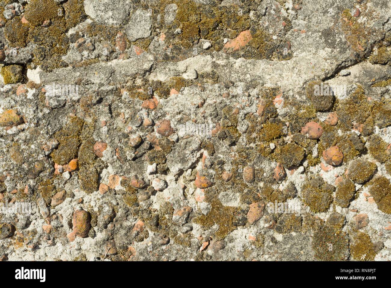 Texture of concrete, cement old moss covered background Stock Photo - Alamy