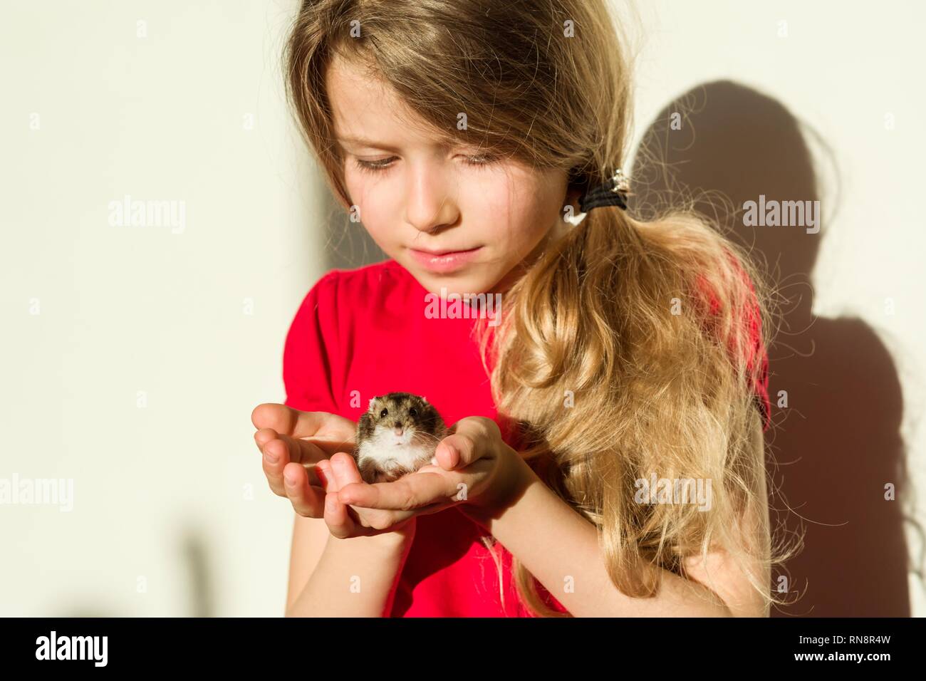 Girl child 7 years old blonde with long wavy hair holds in the hands of ...