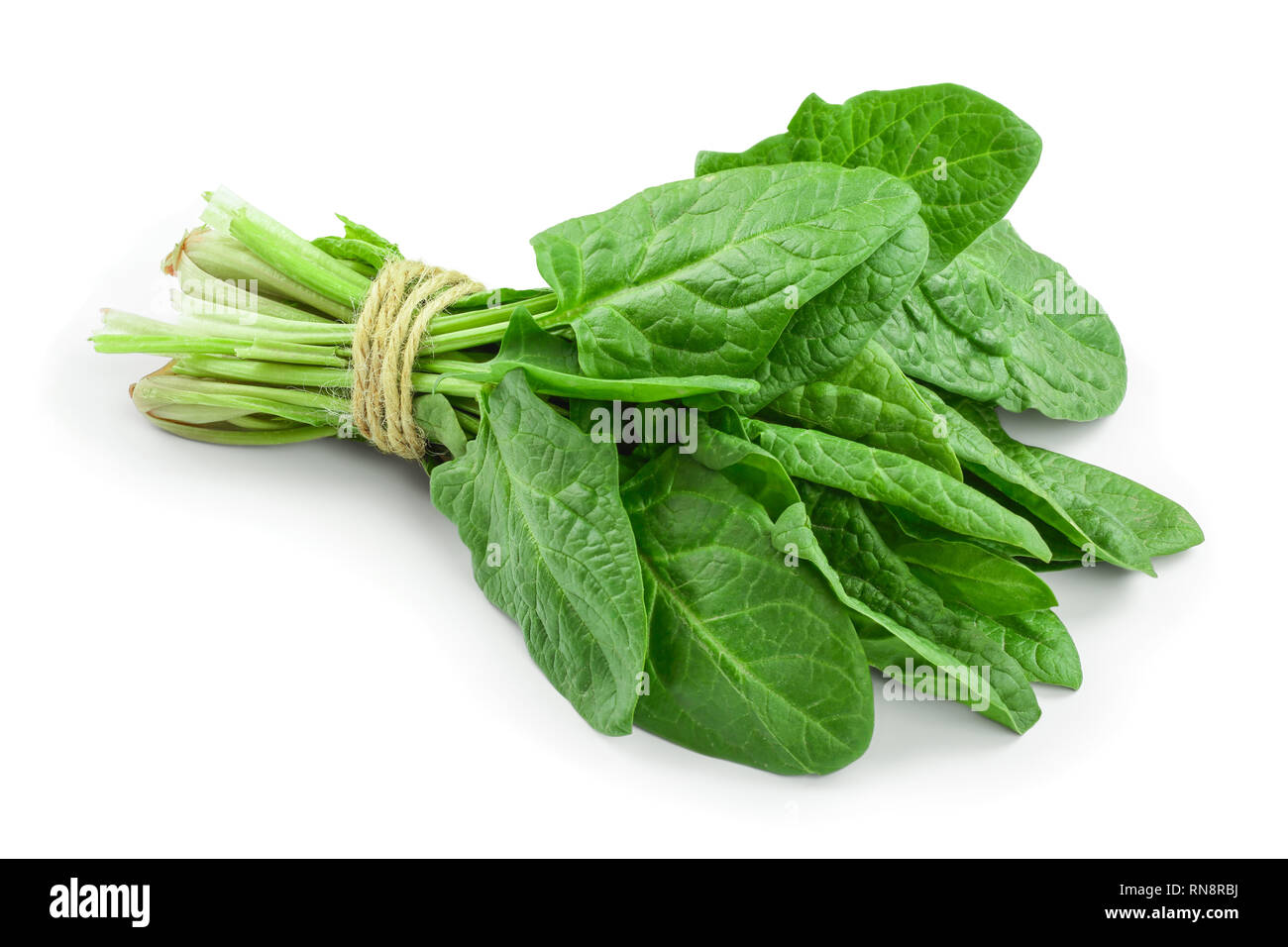 fresh spinach bundle isolated on white background Stock Photo - Alamy