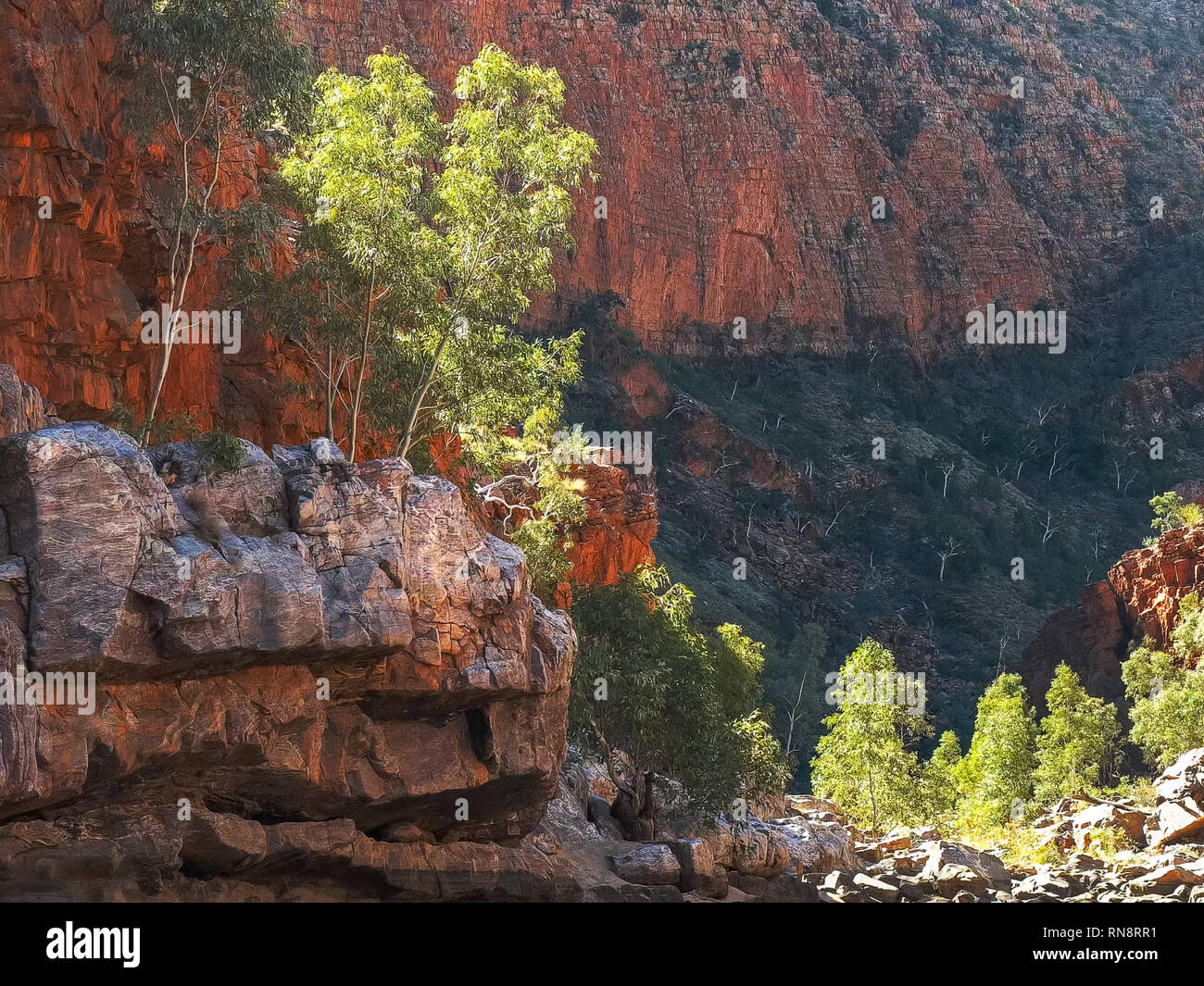 view of the gorge walls at ormiston gorge in the west macdonnell ranges ...