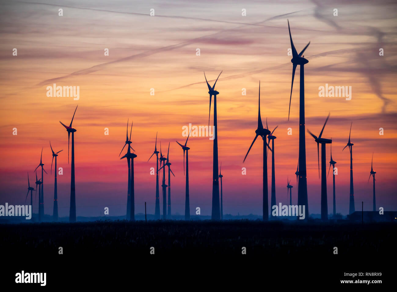 Utgast wind farm, wind park, in the district of Wittmund, East Frida ...