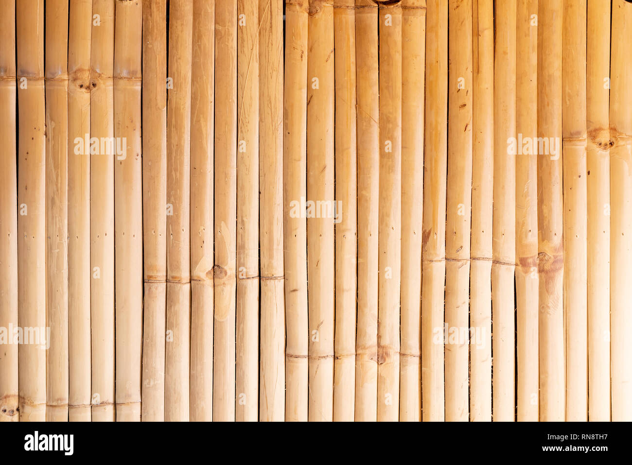 Arranged Vertically High Resolution Stock Photography and Images - Alamy