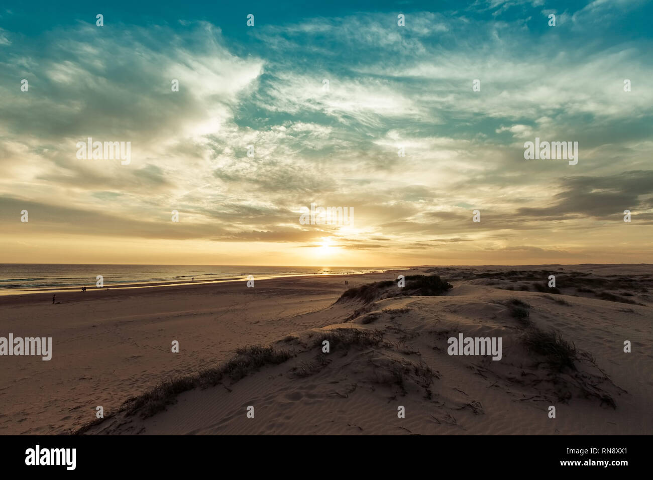 People silhouettes on the beach at sunset. Anna Bay, New South Wales ...