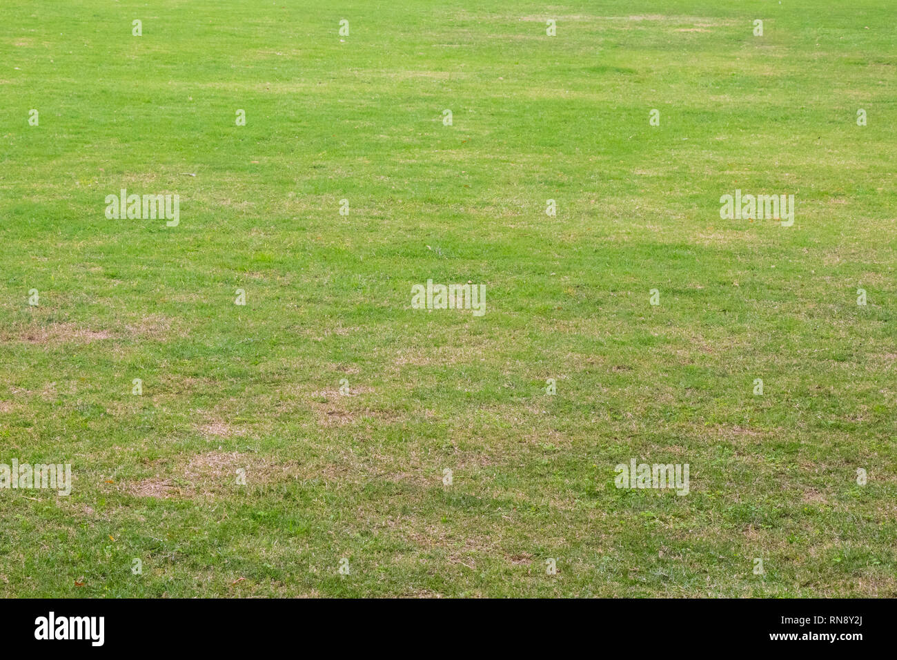 Dark green garden Lawn, Peaceful clean garden with a freshly mown lawn ...