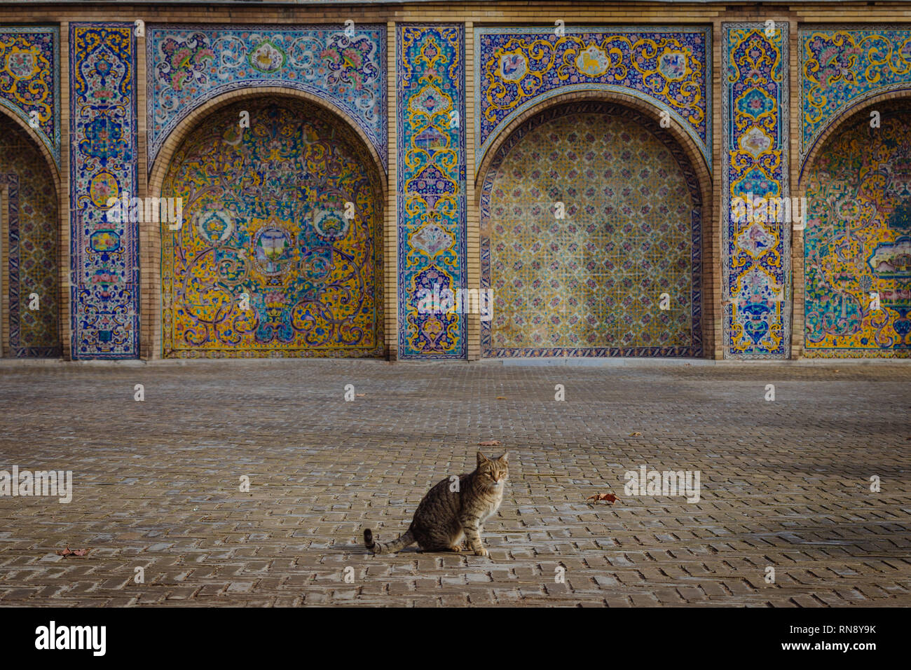 Cat at Golestan Palace in Tehran Stock Photo - Alamy
