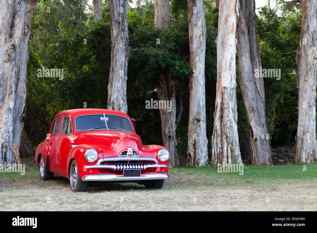 Car parked under trees hi-res stock photography and images - Alamy