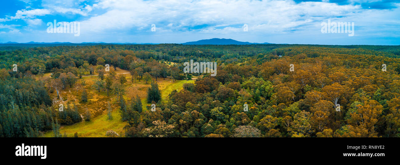 Australian Trees High Resolution Stock Photography and Images - Alamy