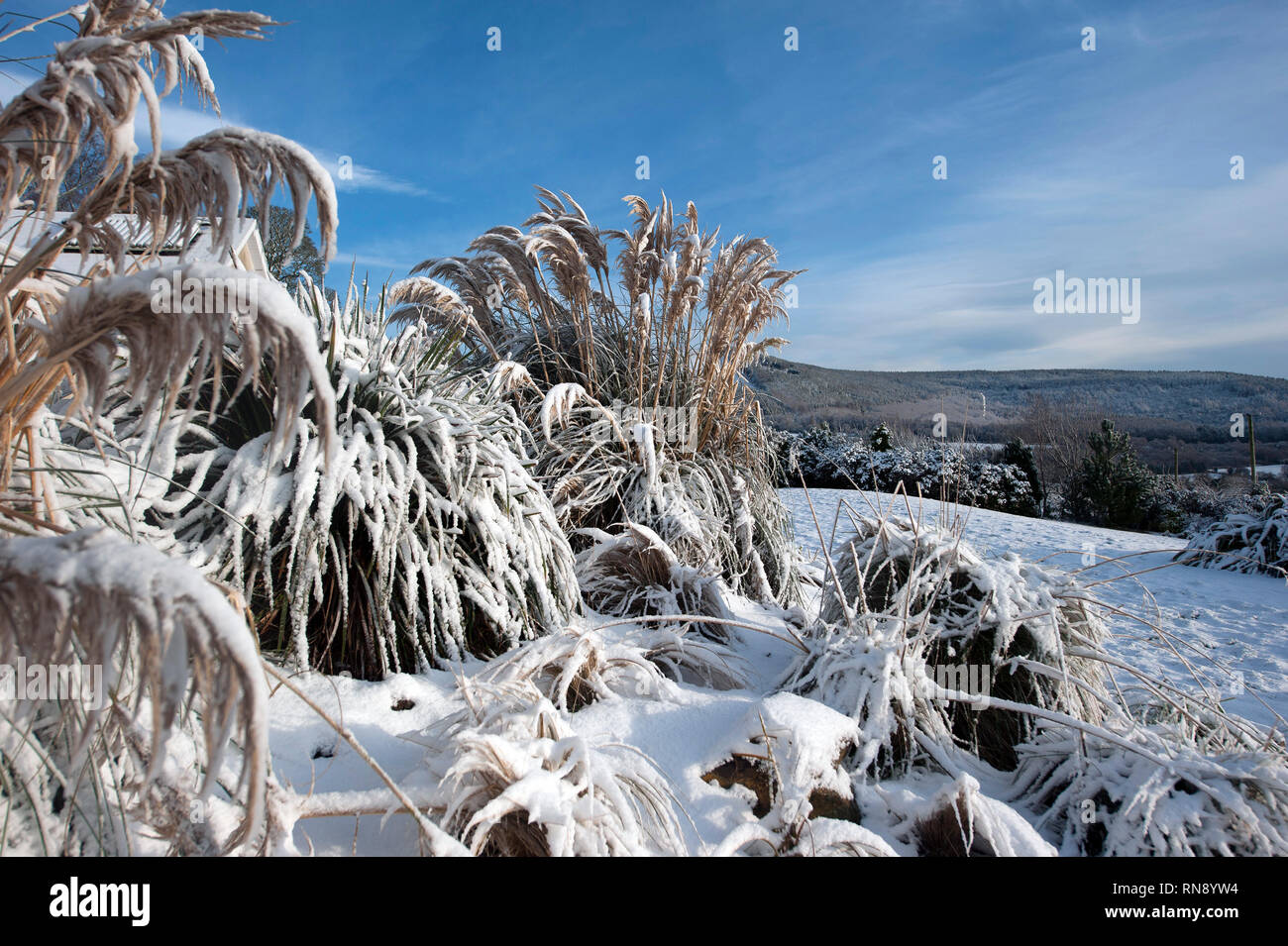 Bunclody wexford hi-res stock photography and images - Alamy