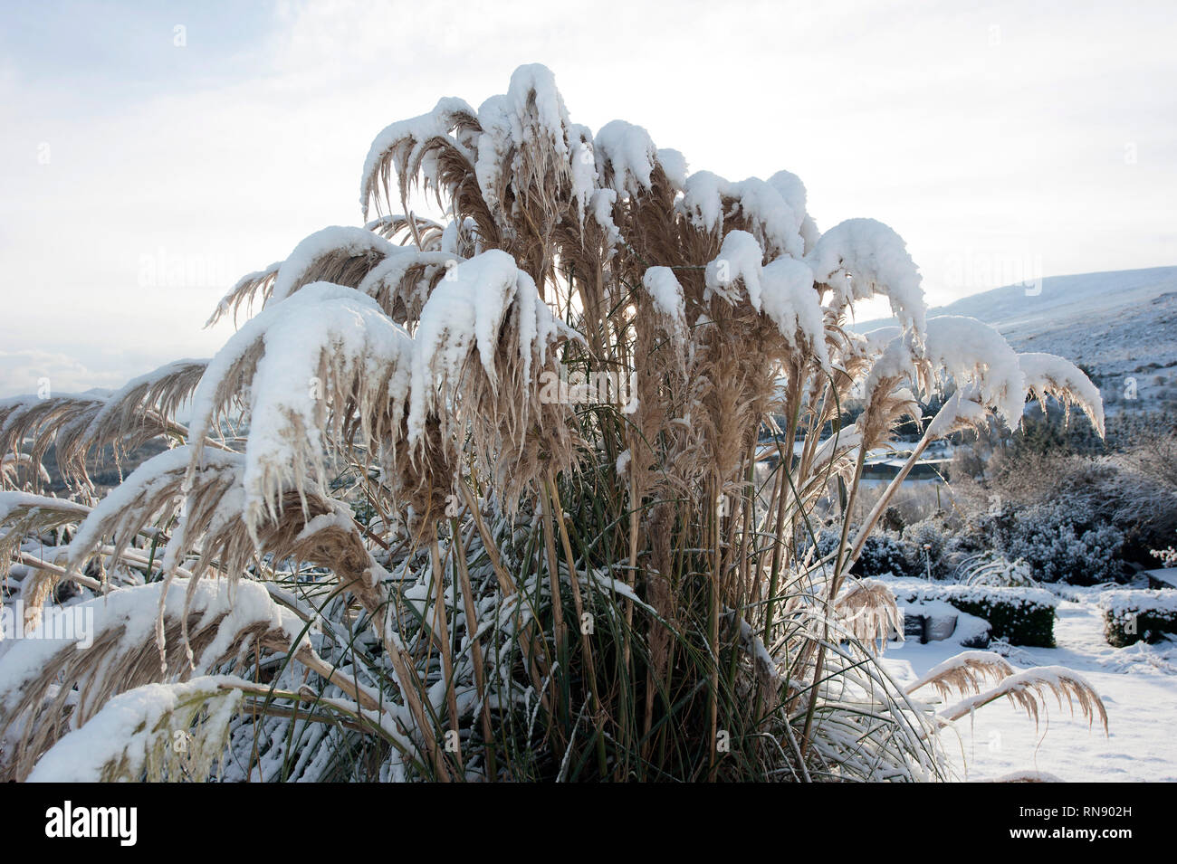 Snow fall, Bunclody, Wexford, Ireland, Eire, Europe Stock Photo - Alamy