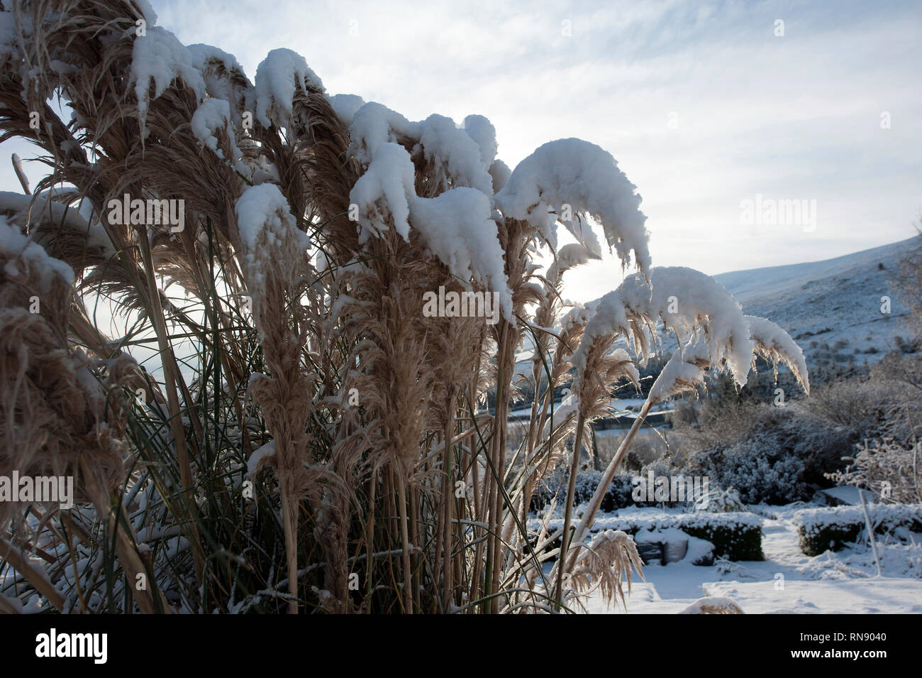 Snow fall, Bunclody, Wexford, Ireland, Eire, Europe Stock Photo - Alamy