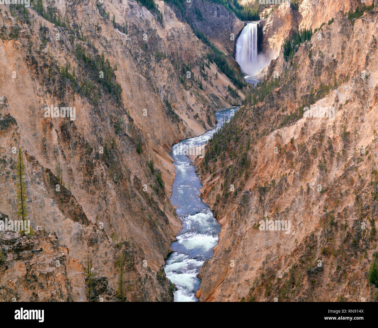 USA, Wyoming, Yellowstone National Park, Lower Falls and Grand Canyon ...