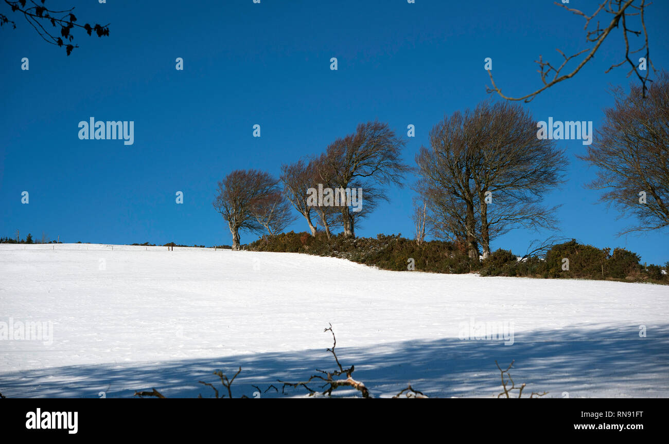 Bunclody wexford hi-res stock photography and images - Alamy