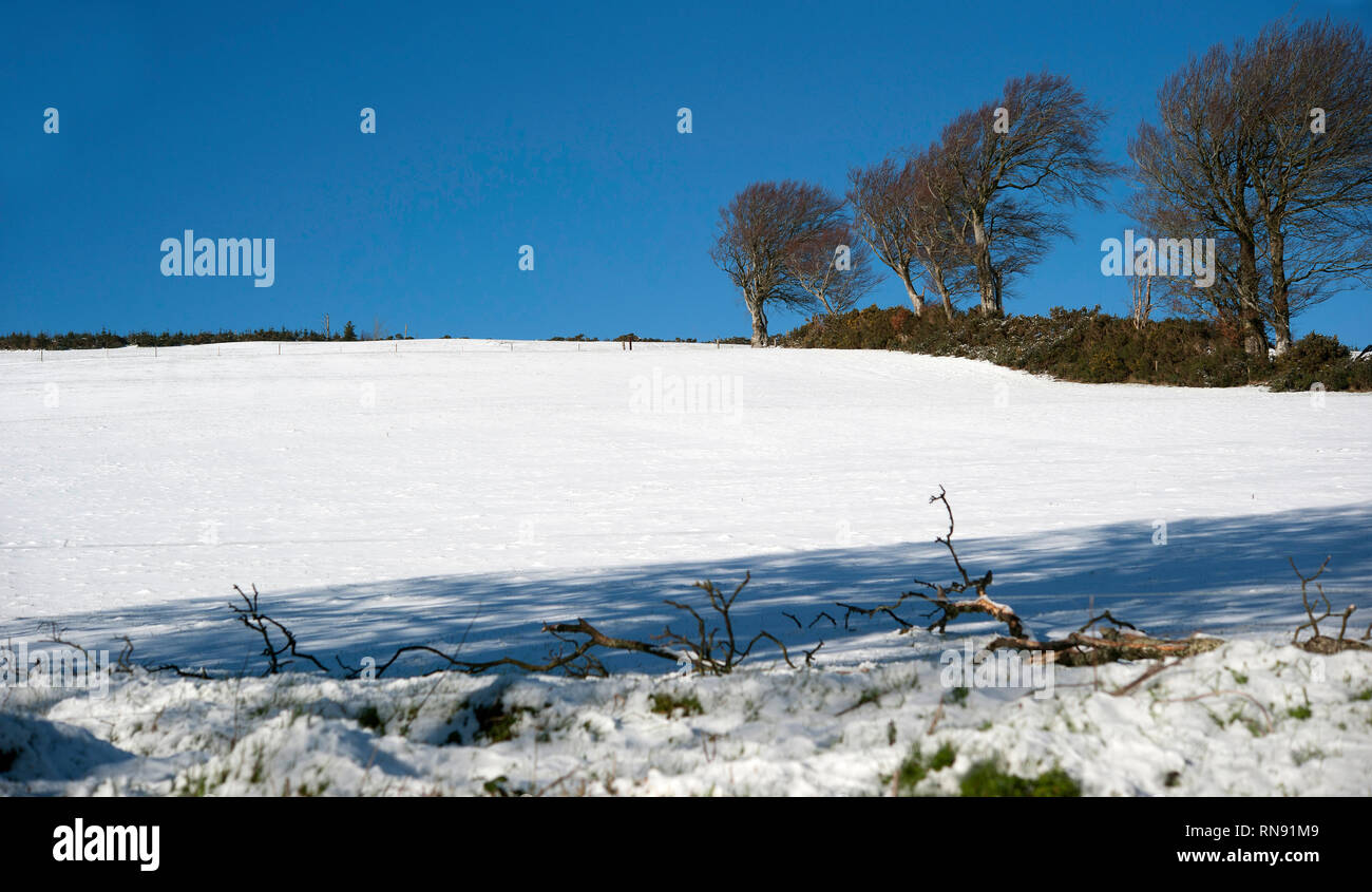 Bunclody wexford hi-res stock photography and images - Alamy