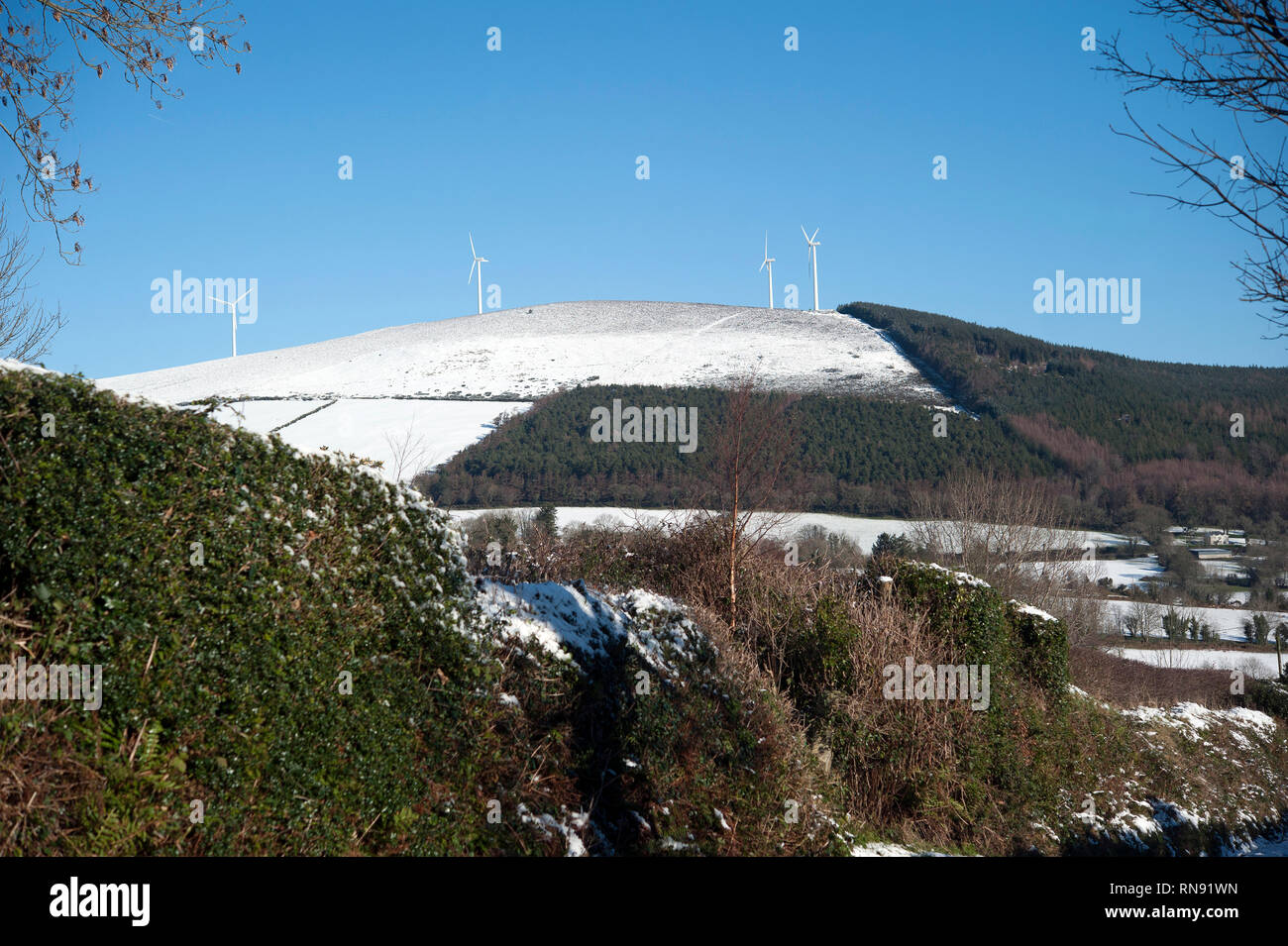 Snow fall, Bunclody, Wexford, Ireland, Eire, Europe Stock Photo - Alamy
