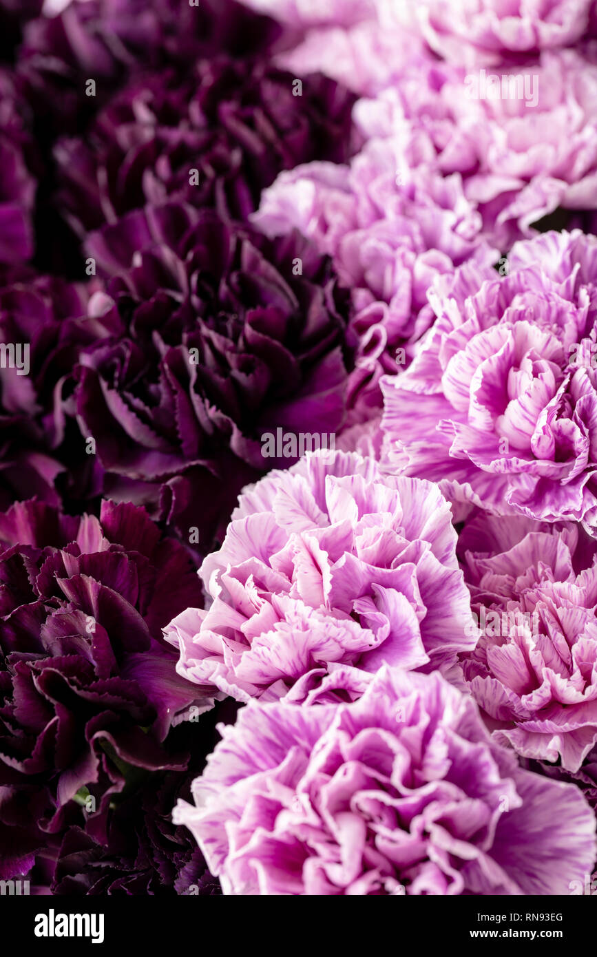 Purple Carnation Flower Bouquet
