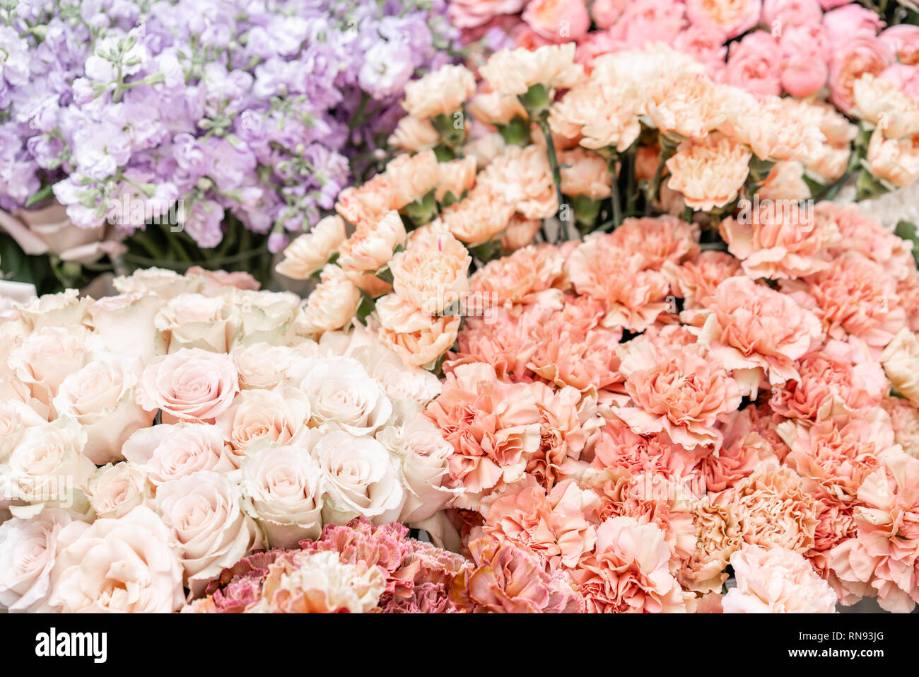 Floral carpet, flower texture, shop concept. Beautiful fresh blossoming ...
