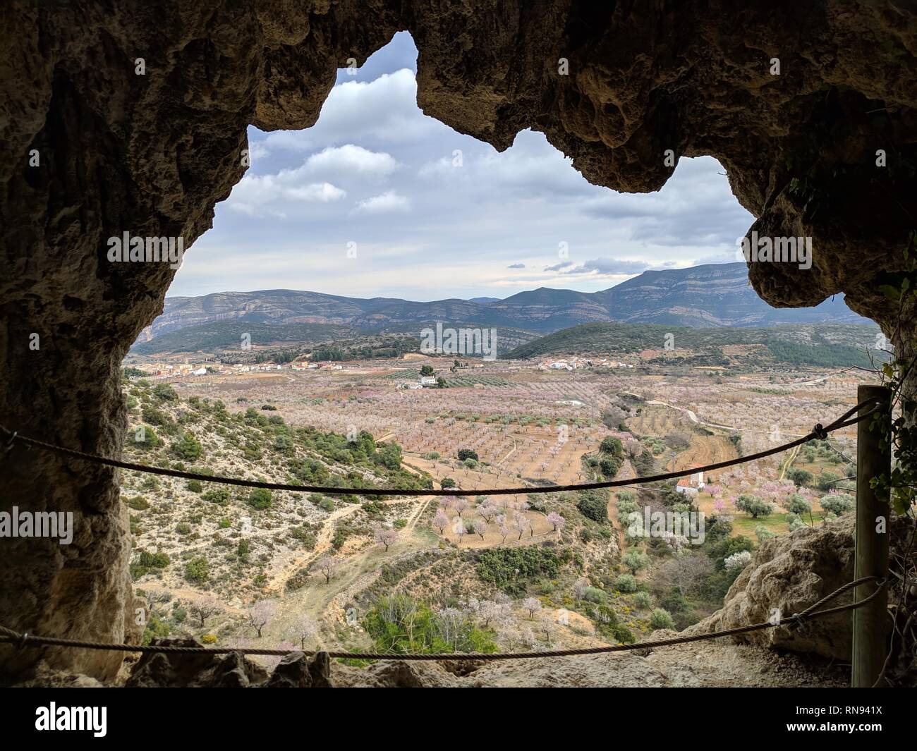 Cave flower hi-res stock photography and images - Alamy