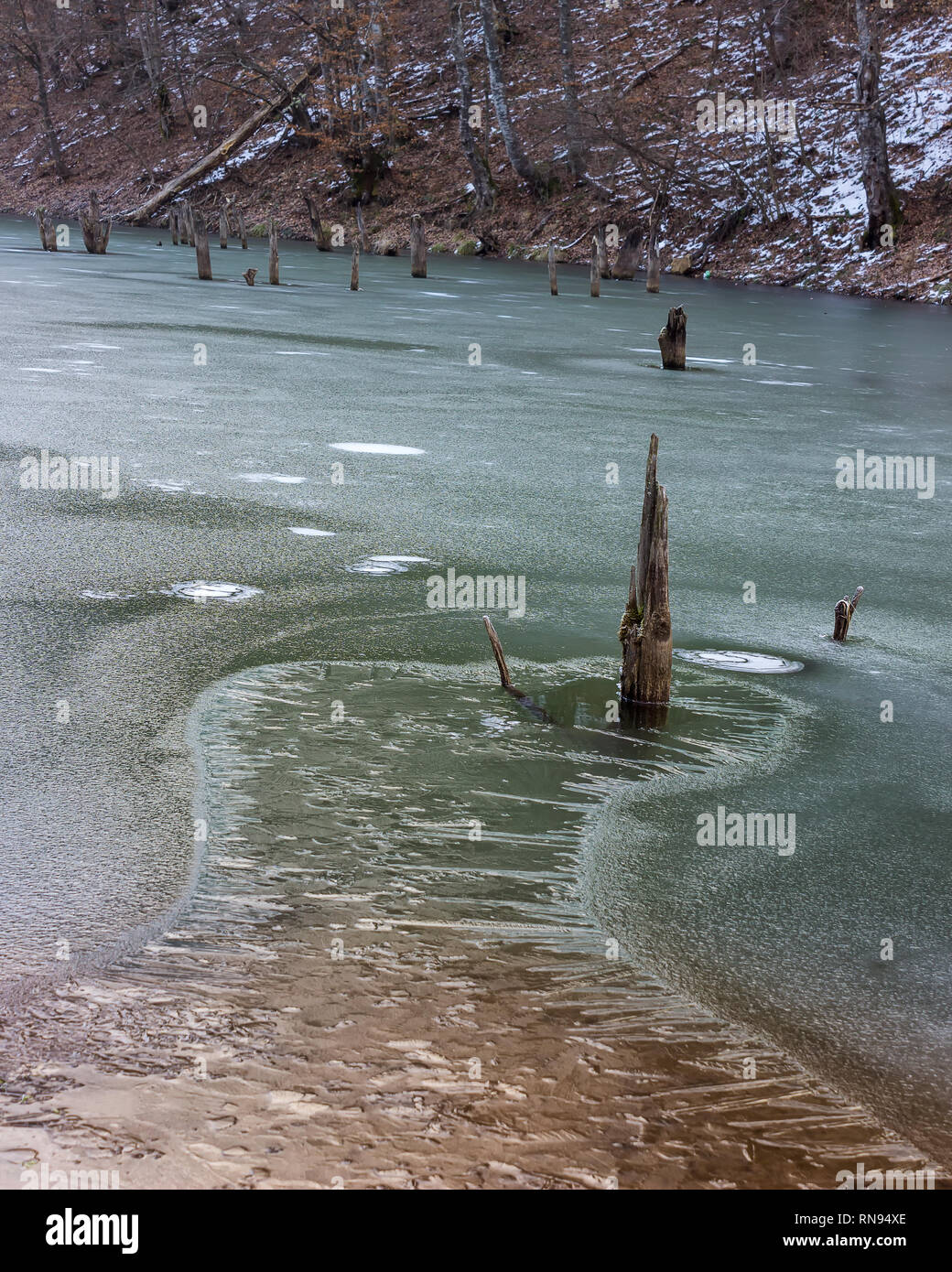 Beautiful details in the ice of a frozen lake and dead trees sicking ...