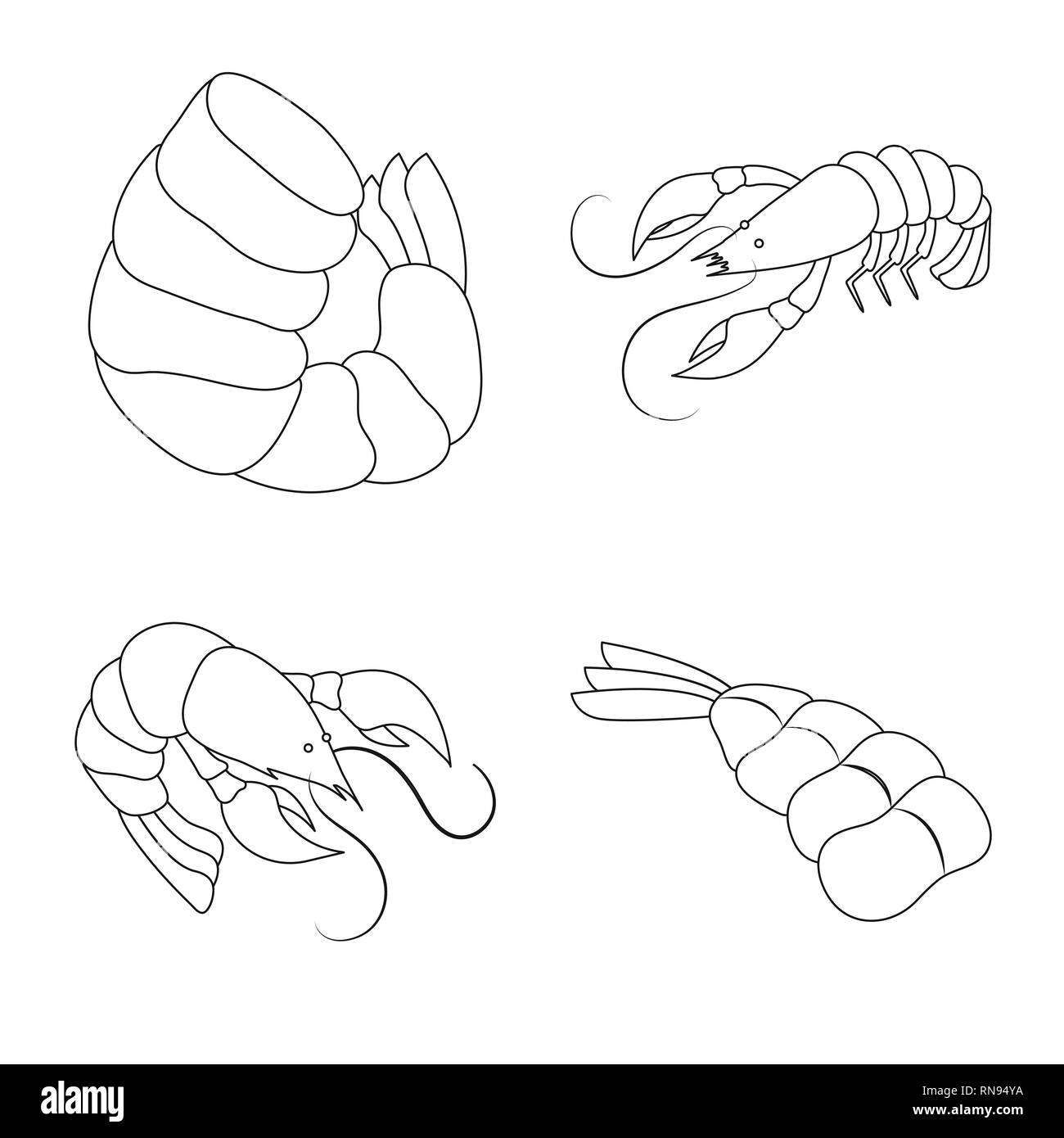 prawn,lobster,raw,red,creature,cooked,boiled,beach,luxury,fresh ...