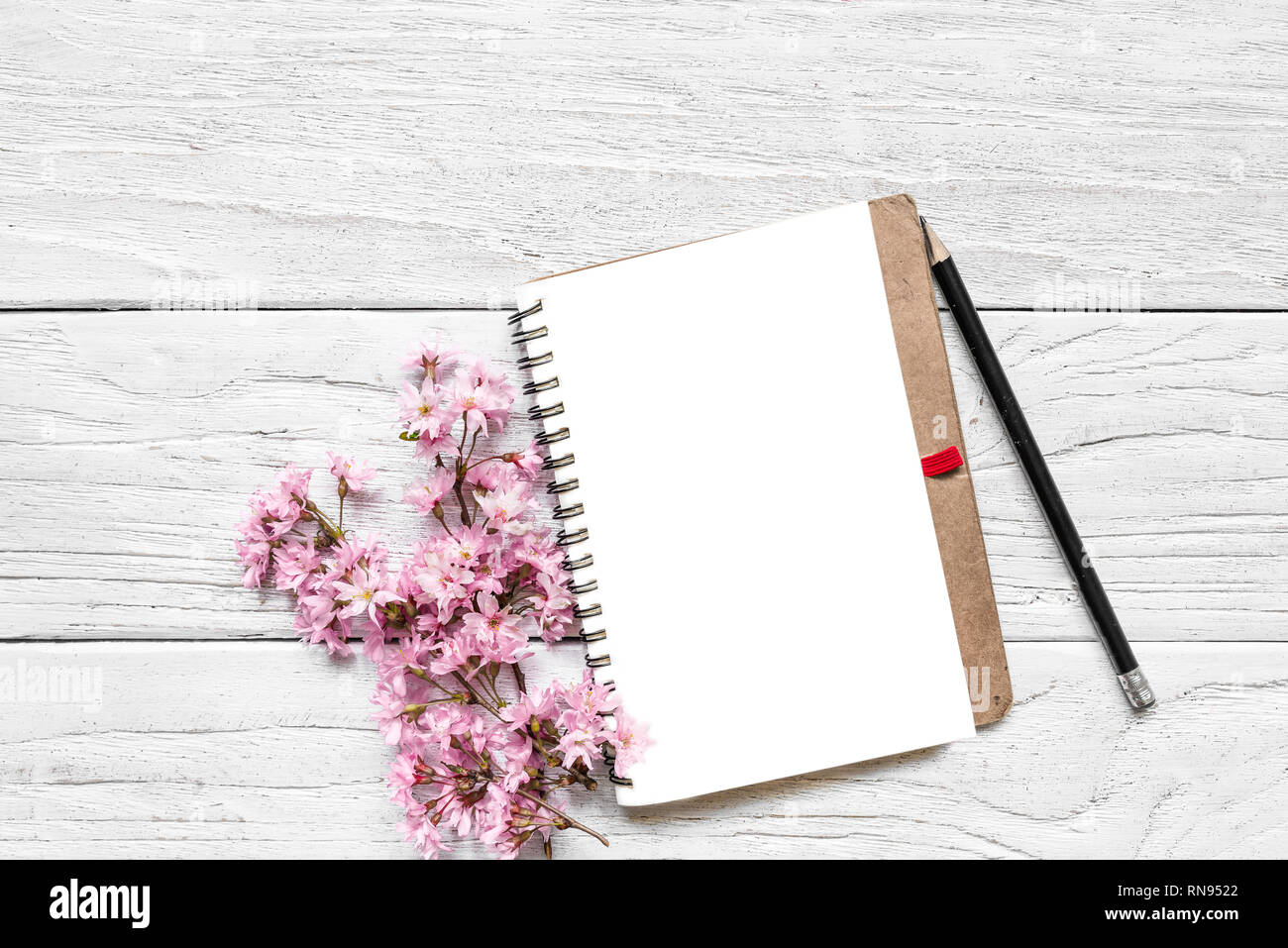 Layout pink hi-res stock photography and images - Alamy