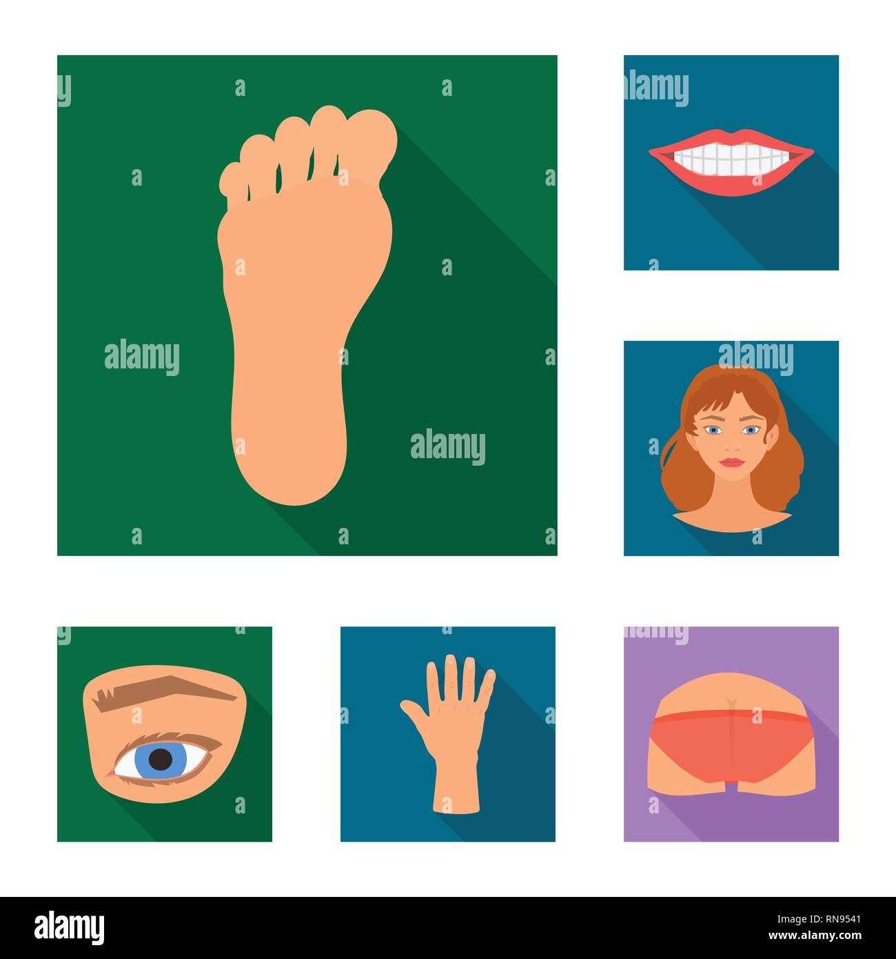 Vector illustration of body and part symbol. Set of body and anatomy ...